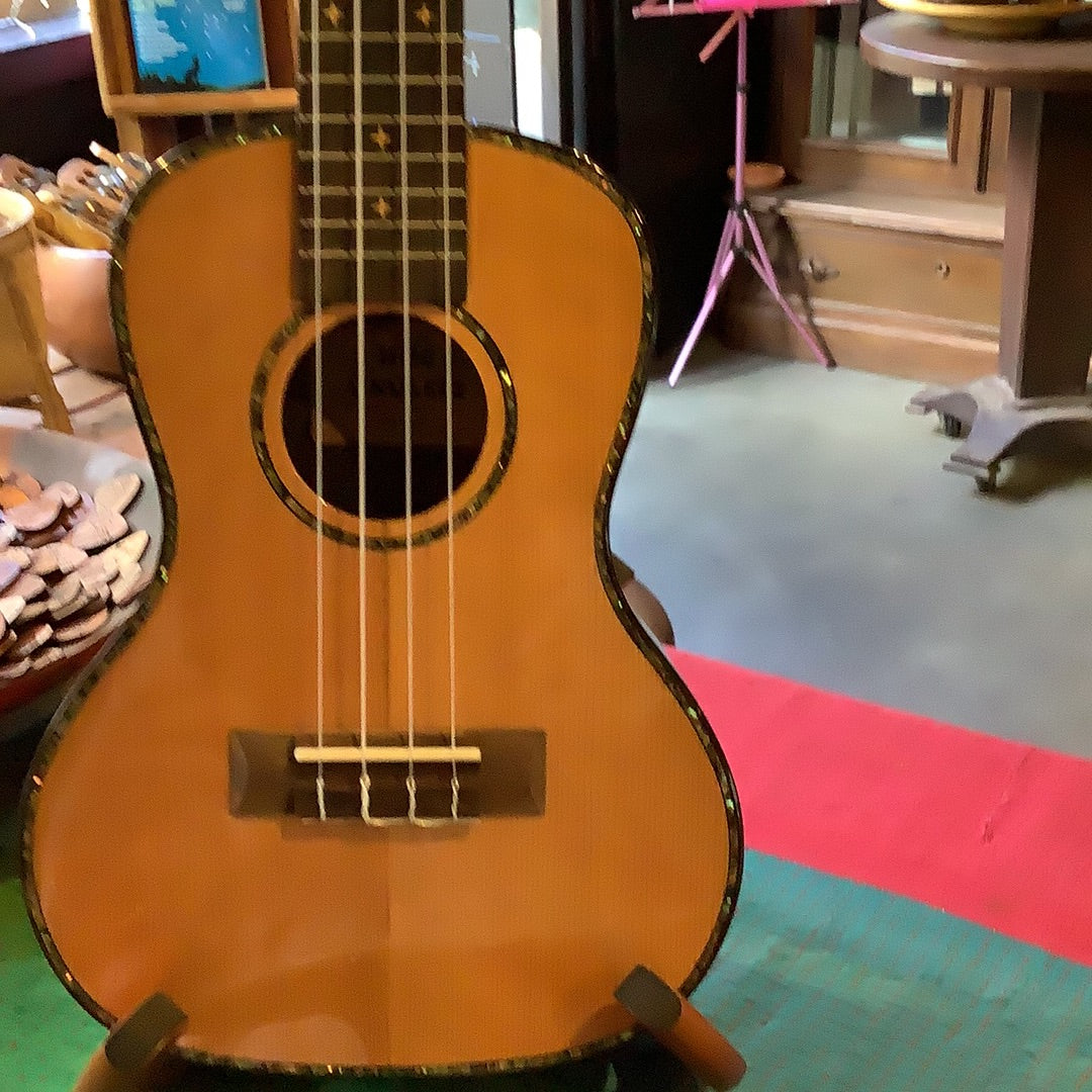 HUG-SCR-TG – Hanalei Strings